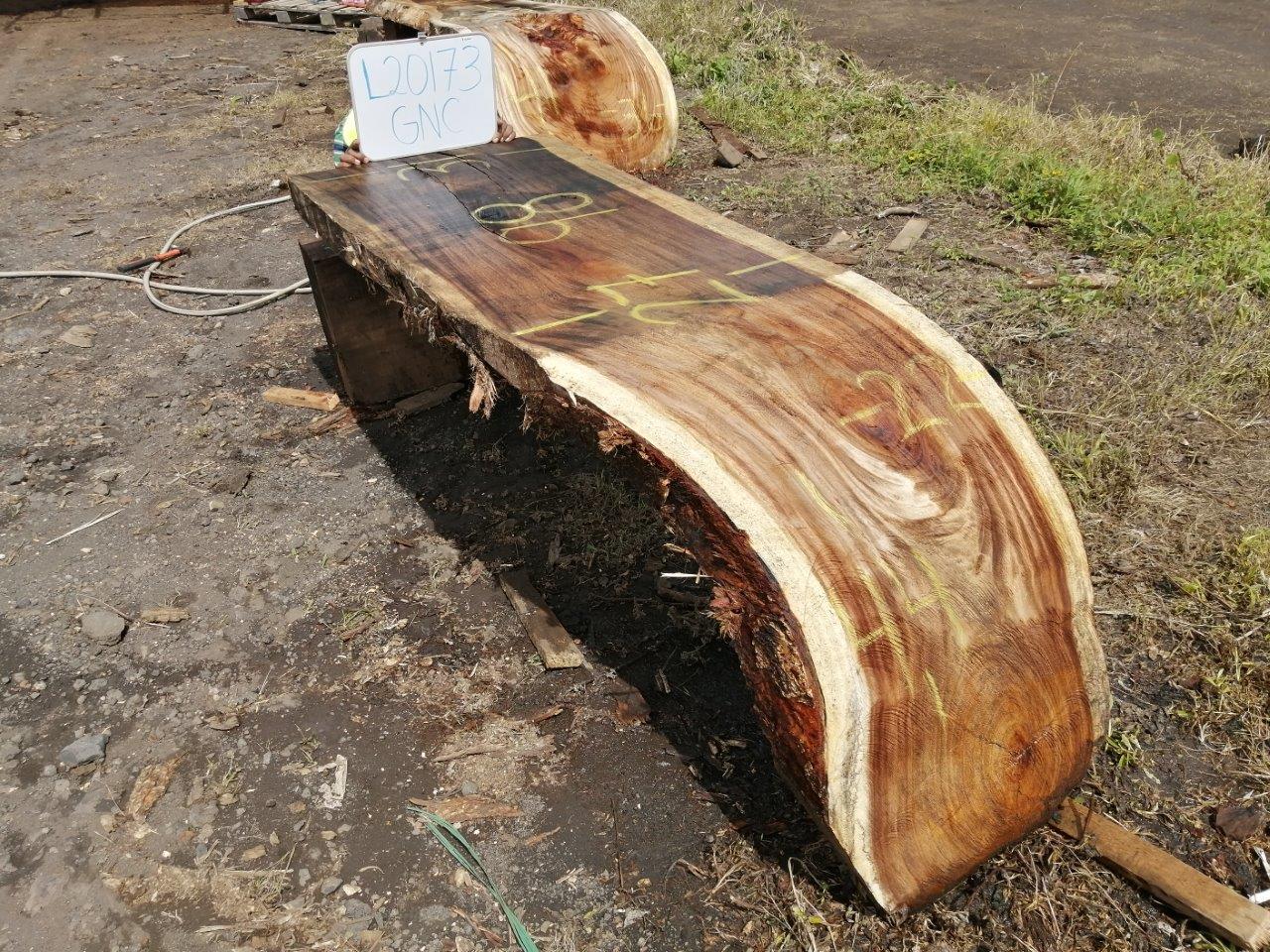 Raw Roots / Drips – Wild Wood Edges
